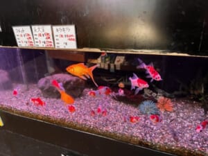 「川崎」駅で買い物革命！暮らしを豊かにするアイテムが揃う「Unidyラゾーナ川崎店」 | ハマ・サキマガジン｜鶴見・川崎の生活をレポートする ...